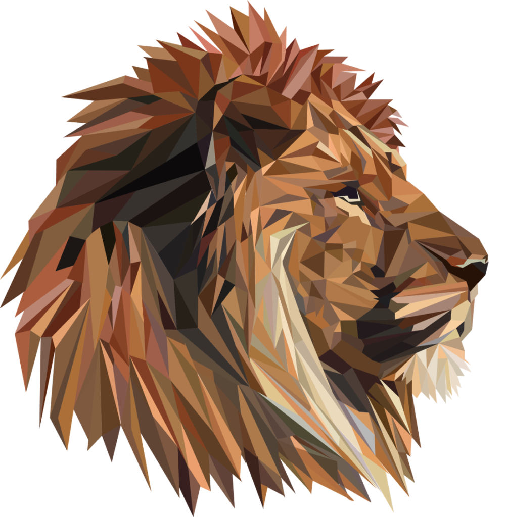 About Lion Communication